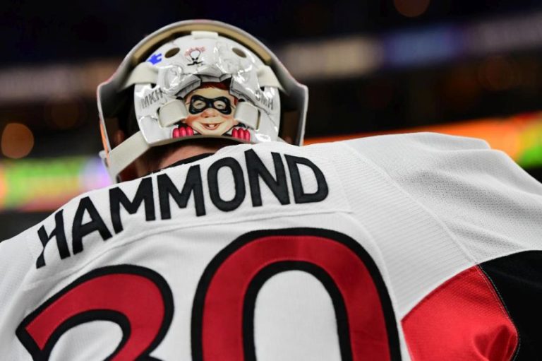 Season spent in minors special for Sabres goalie Andrew Hammond ...