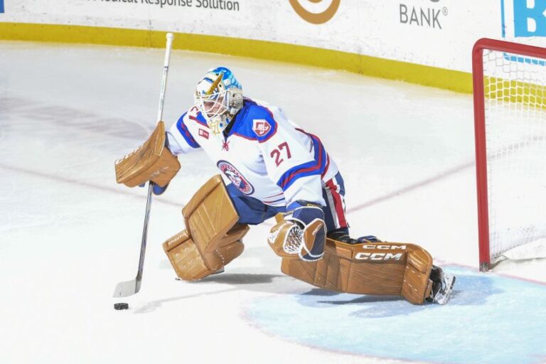 Sabres recall goalie Devon Levi, place Ryan McLeod on injured reserve ...