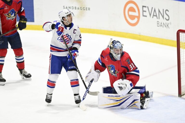 Sabres claim rookie goalie Colten Ellis off waivers from Blues ...